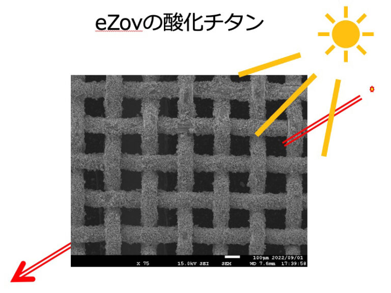 eZovインターナショナル